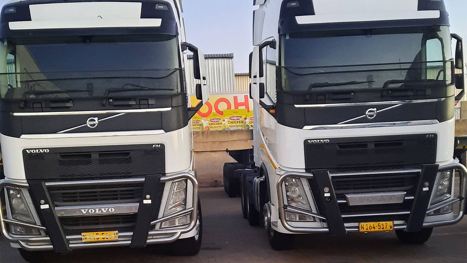 Wholesome Logistics – Transport and Logistics COmpani in Namibia